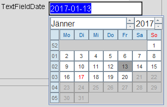 Textfield with Datechooser – FormsOptimizer